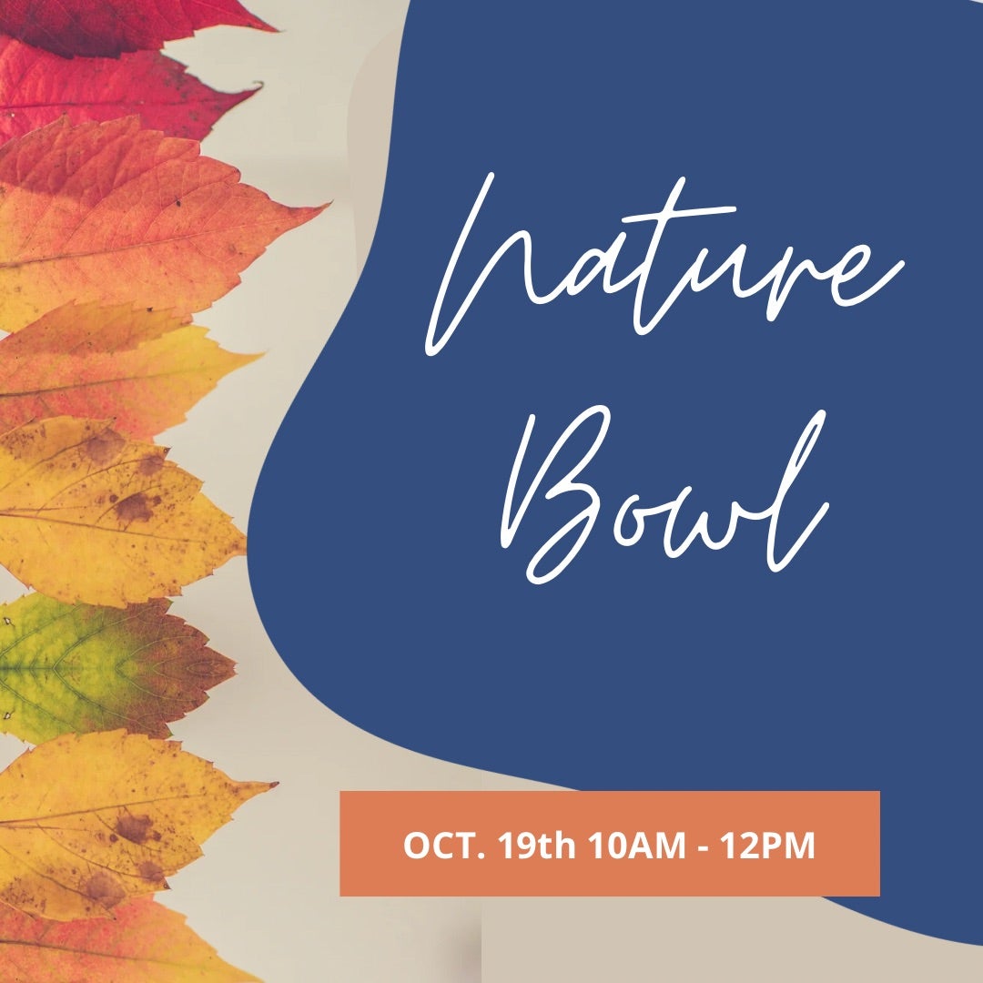 Hand Built Nature Bowl | Wildstone Ceramics